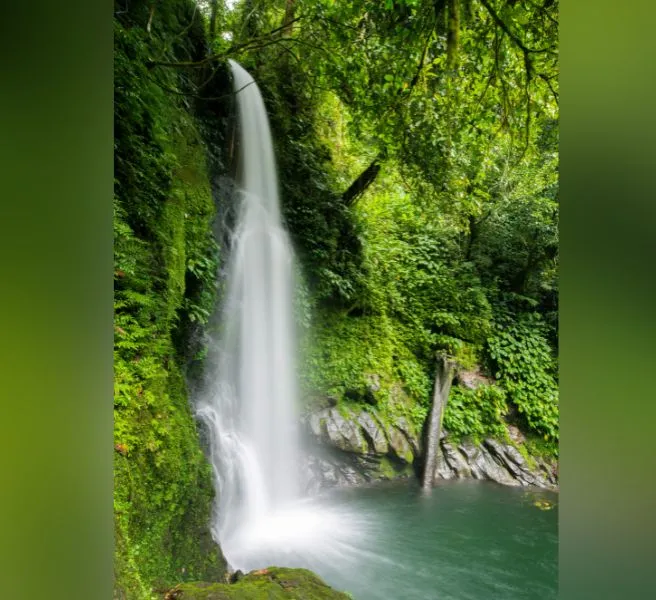 Go Hotels Plus Naga | Affordable Hotel in Naga City
